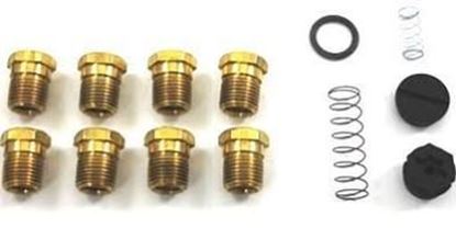 Natural To LP Conversion Kit For Rheem-Ruud Part# FP-02 | HVAC Parts ...